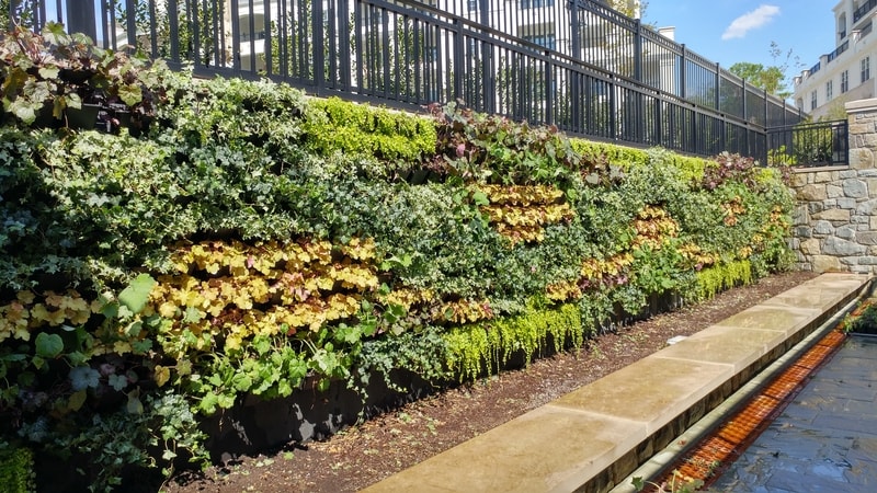 Exterior Wall Gallery | GreenWall Source | Washington, D.C.